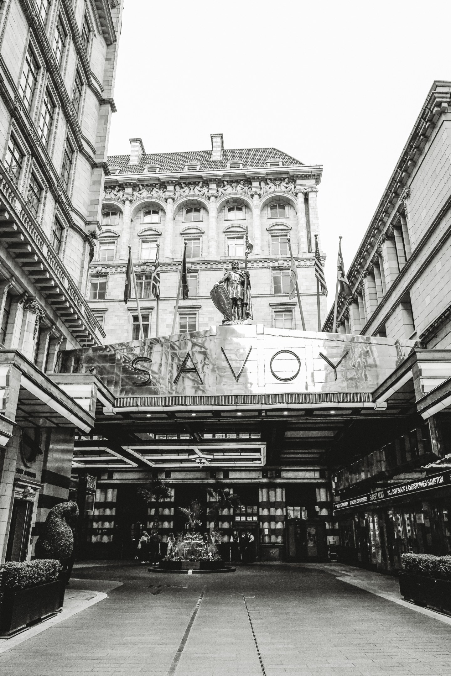 AG1 vs IM8: Which Greens Powder Reigns Supreme?